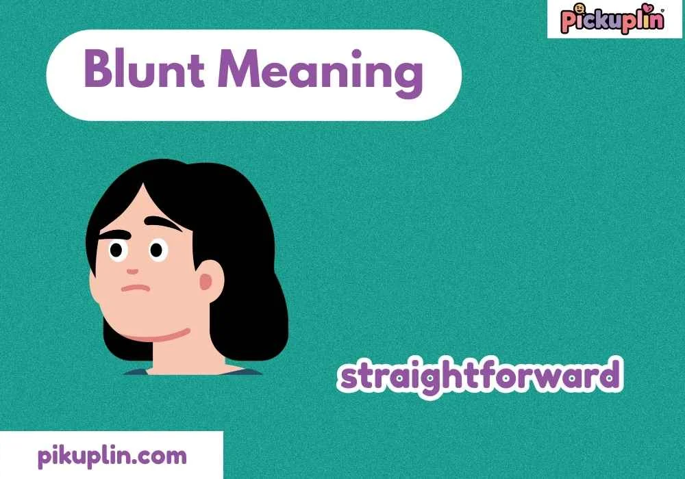 Blunt Meaning Simple & Clear Explanation for Curious Minds 2026